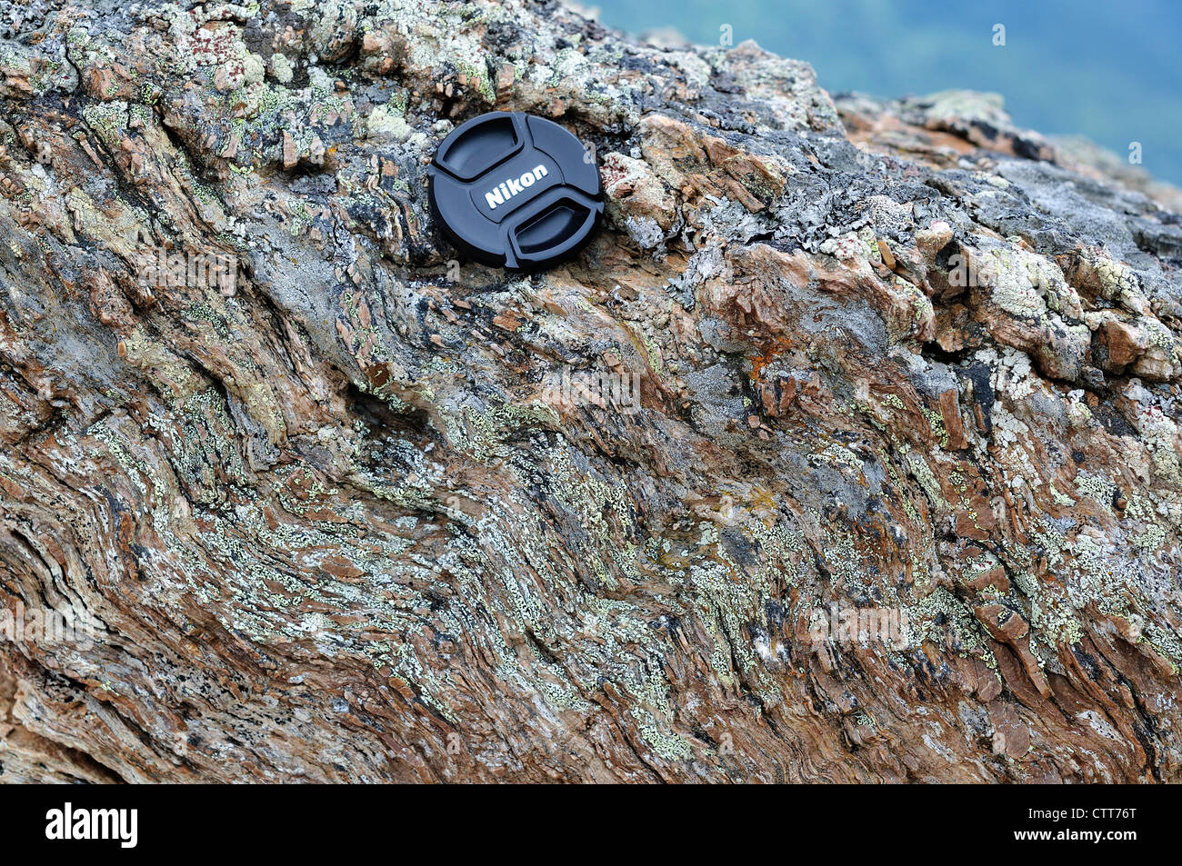 Mica schist outcrop. Denali National Park and Preserve, Alaska, USA ...