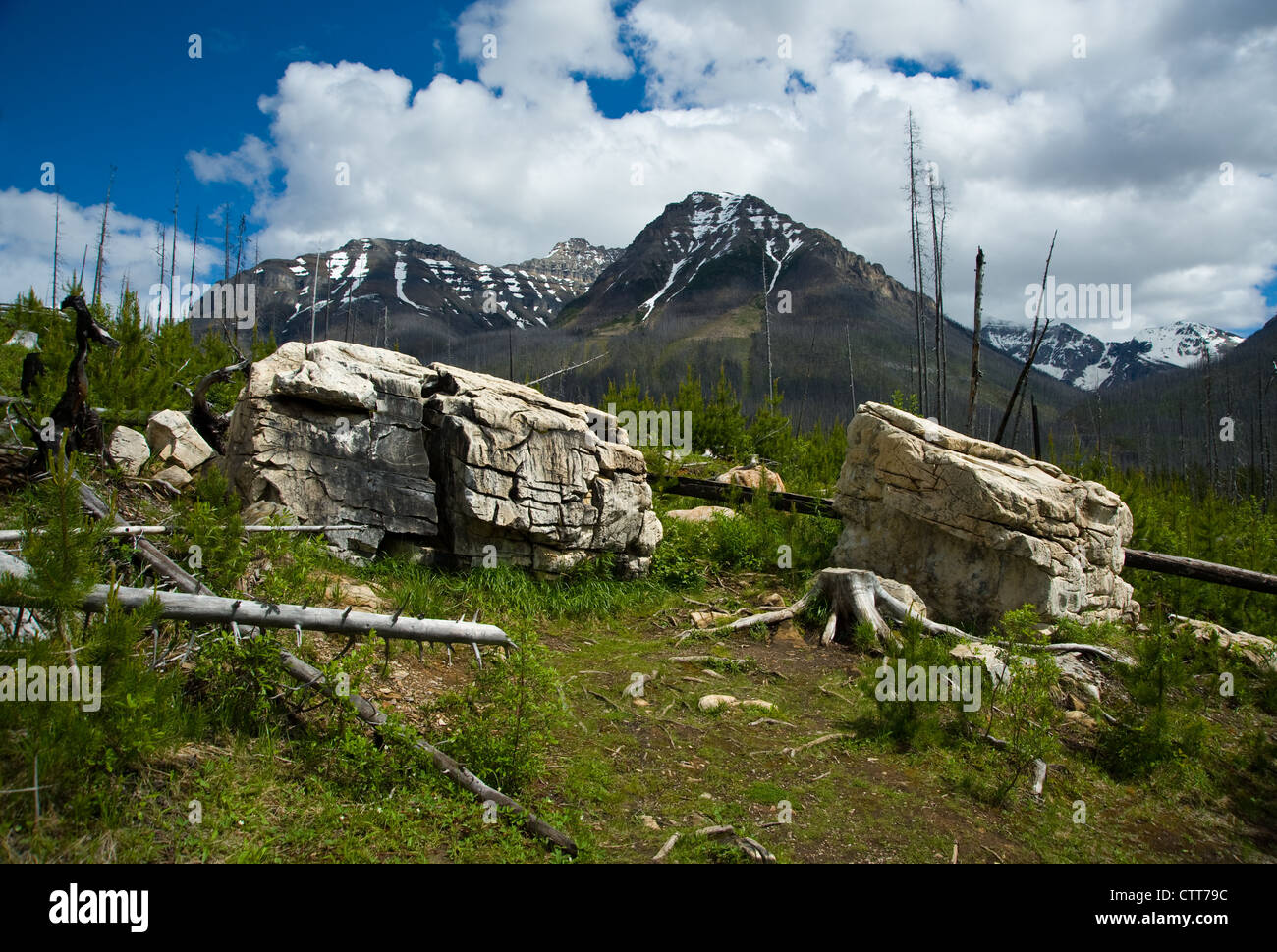 Marble Canyon area Tokumm Creek Kootenay National Park Alberta Canada ...