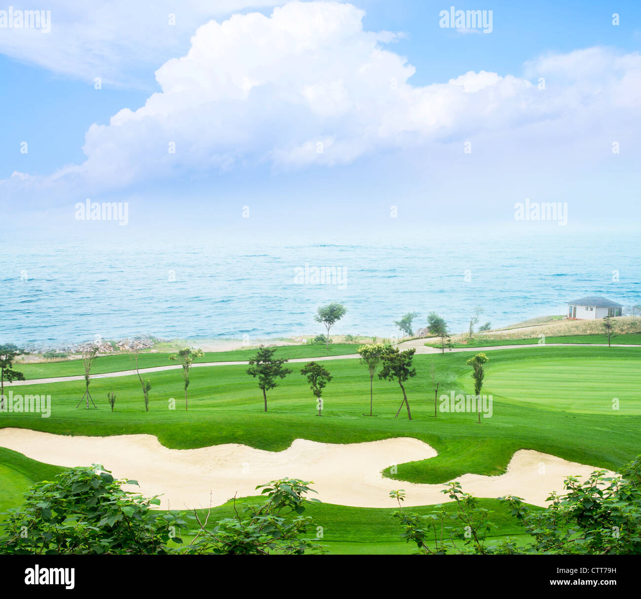 The grass of the golf course at the beach Stock Photo - Alamy