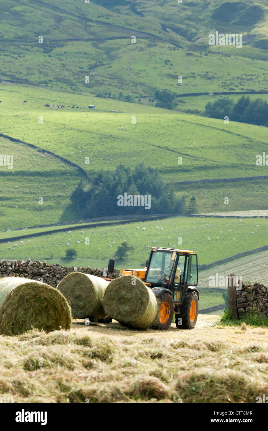 Hay making in wharfedale yorkshire hi-res stock photography and images ...