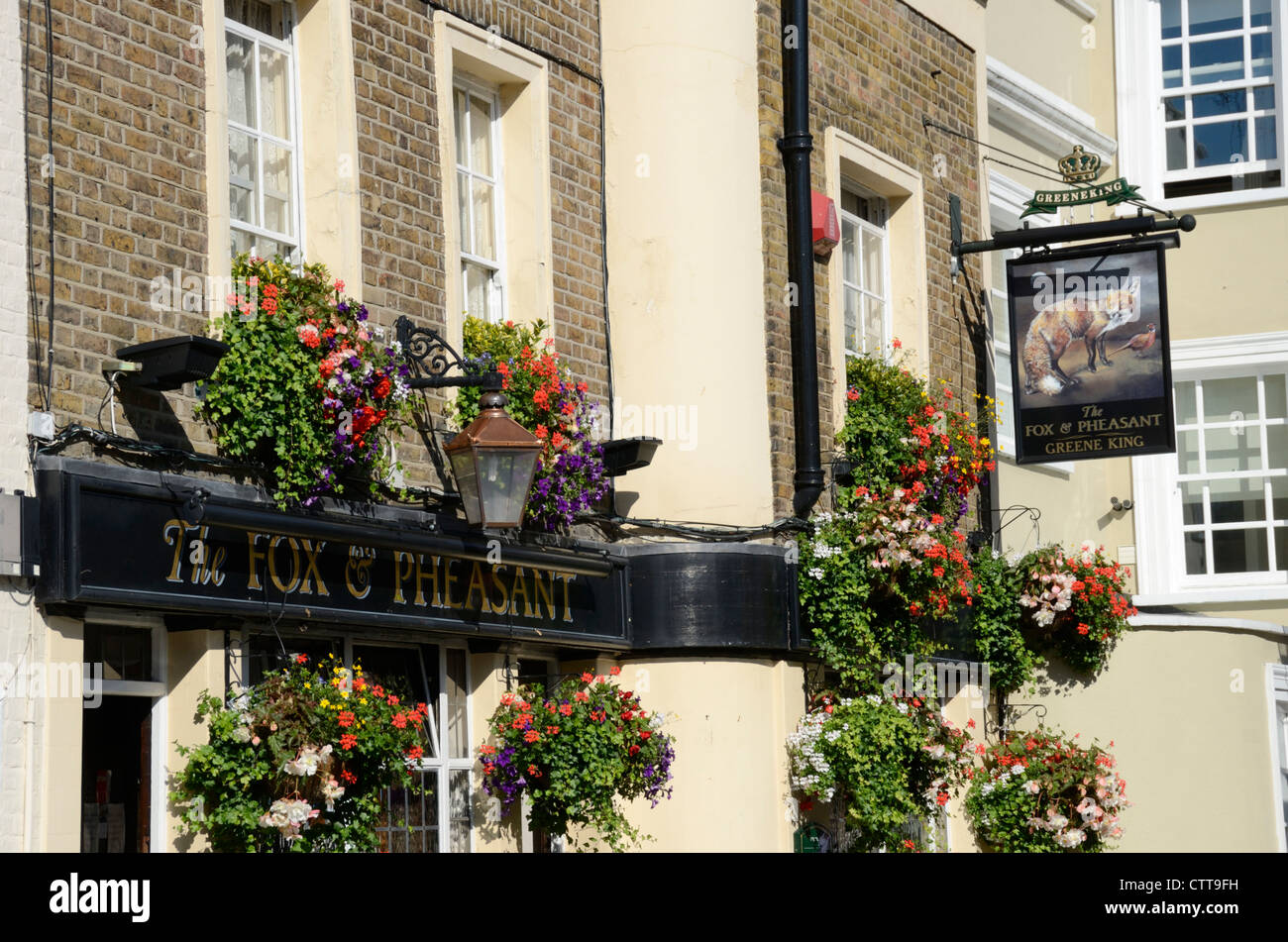 Fox and pheasant hi-res stock photography and images - Alamy