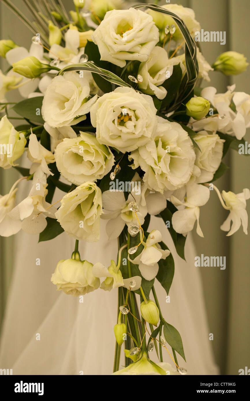 a display of white roses Stock Photo - Alamy