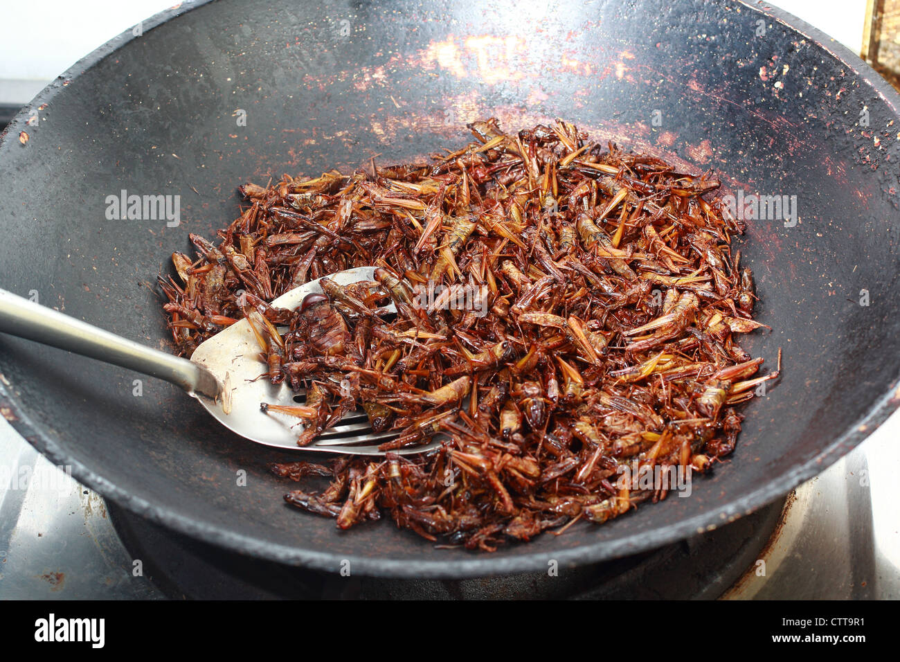 Fried Cockroach Recipe