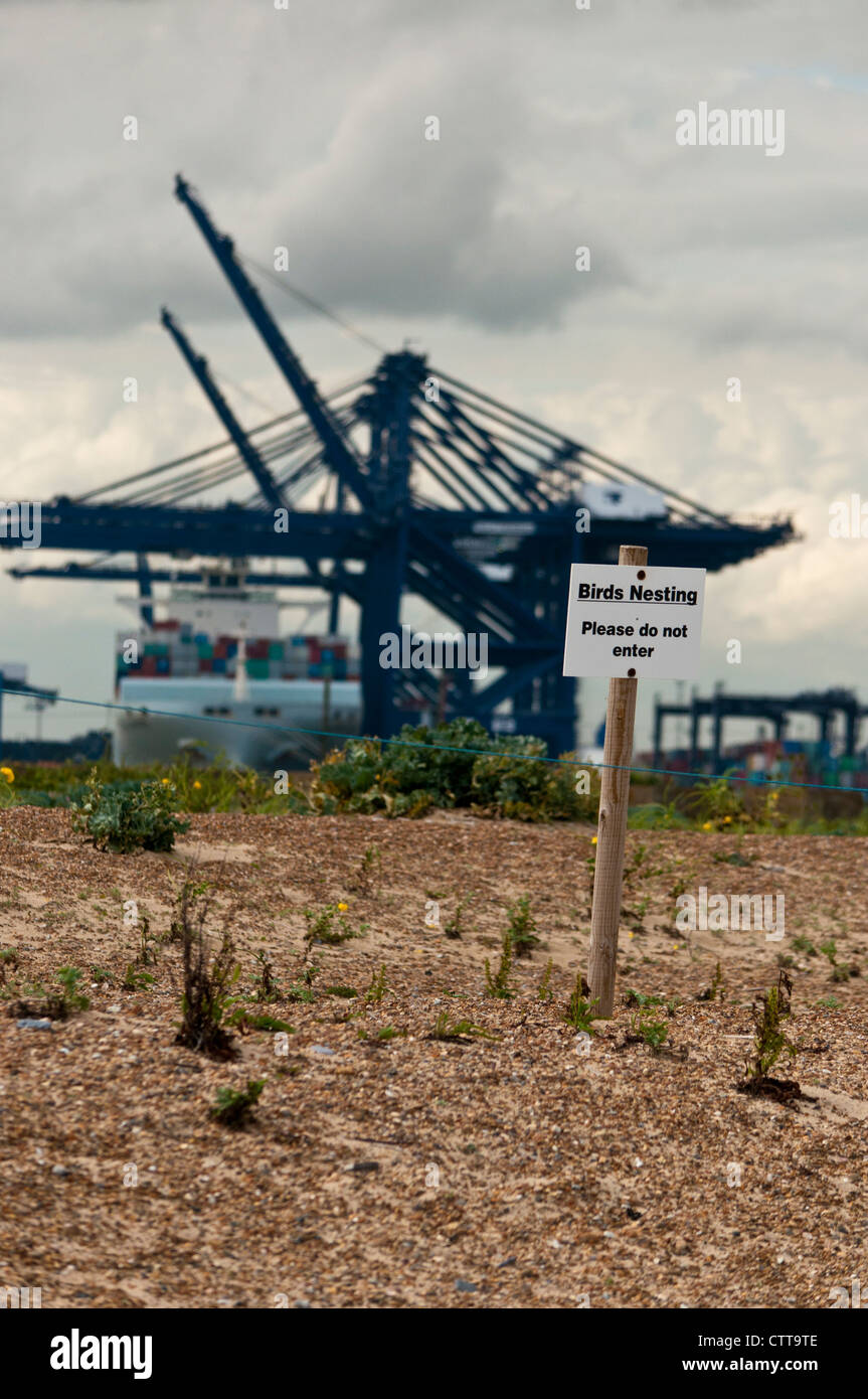 [Birds nesting] sign Landguard nature reserve Felixstowe Suffolk Stock ...