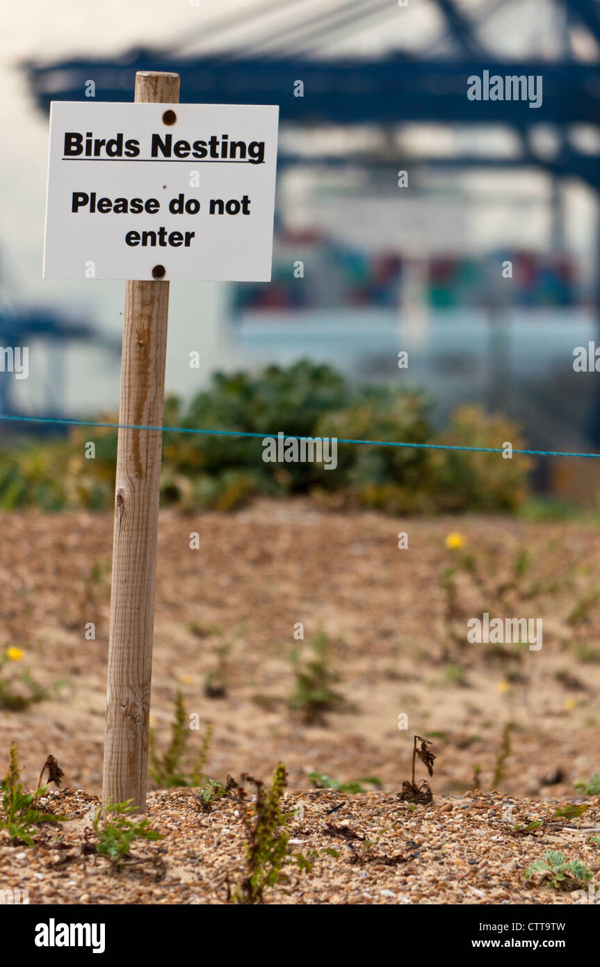 [Birds nesting] sign Landguard nature reserve Felixstowe Suffolk Stock ...