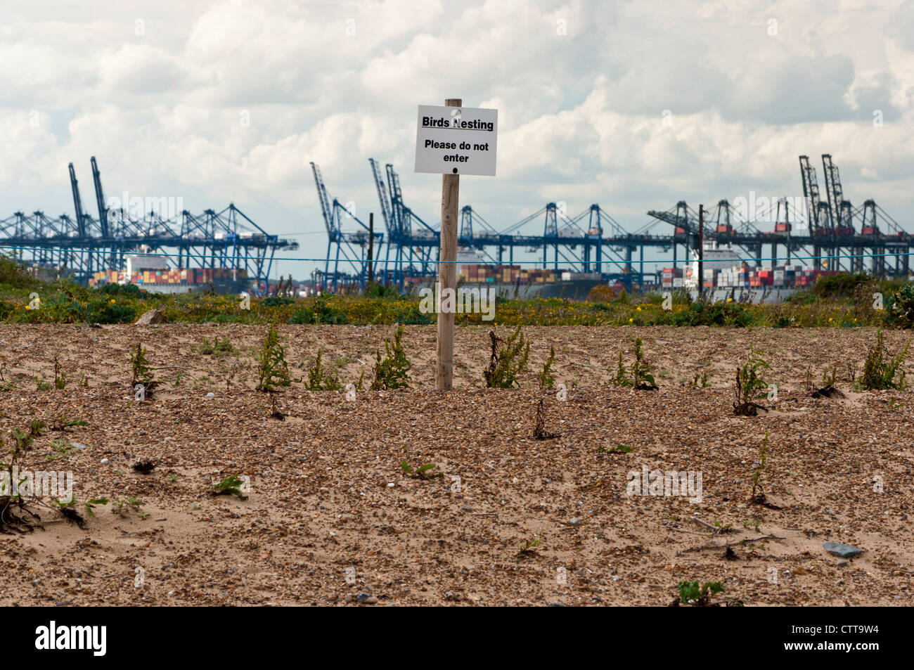[Birds nesting] sign Landguard nature reserve Felixstowe Suffolk Stock ...