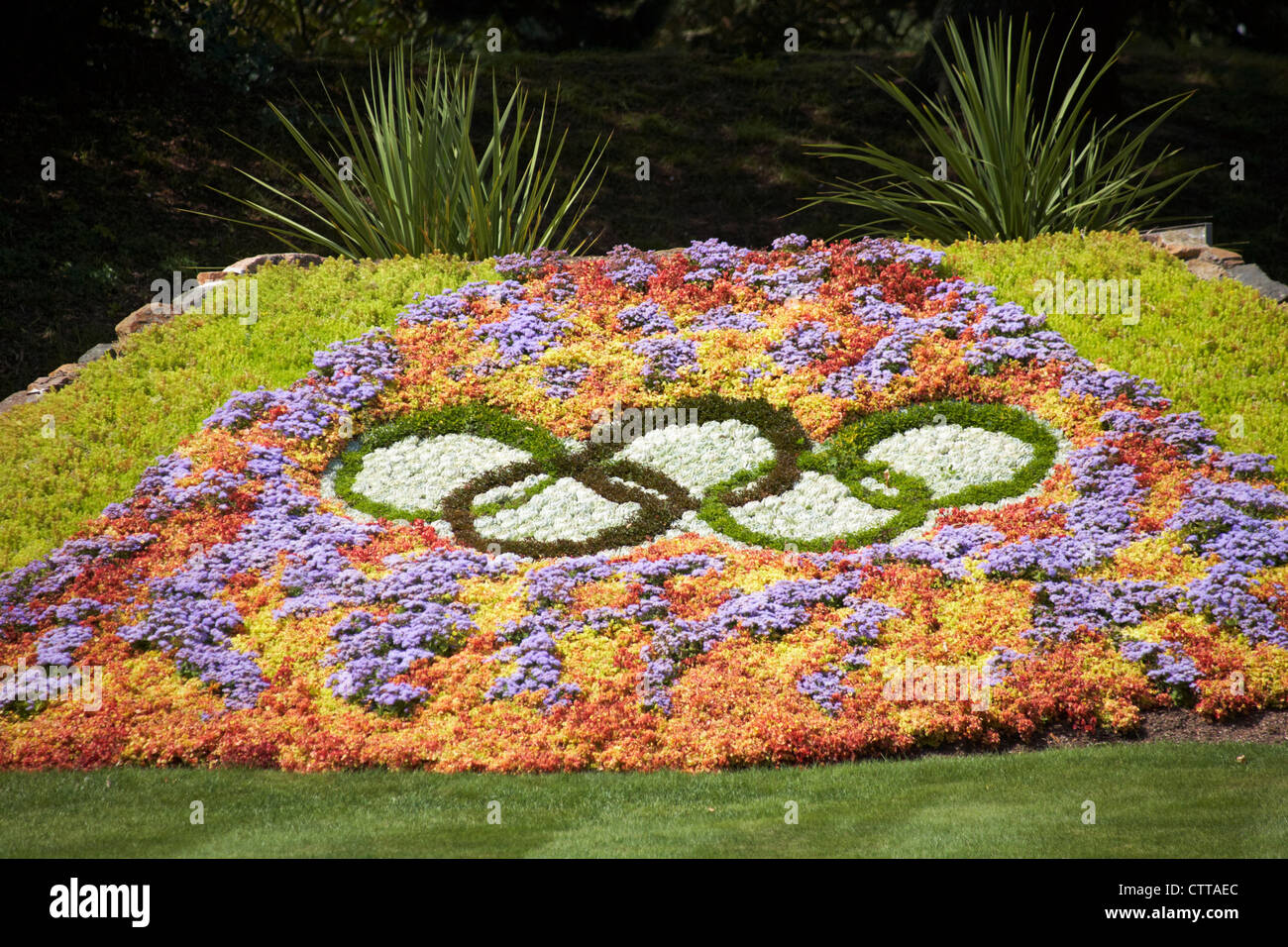 flower beds with plants arranged in the shape of the Olympic rings at ...