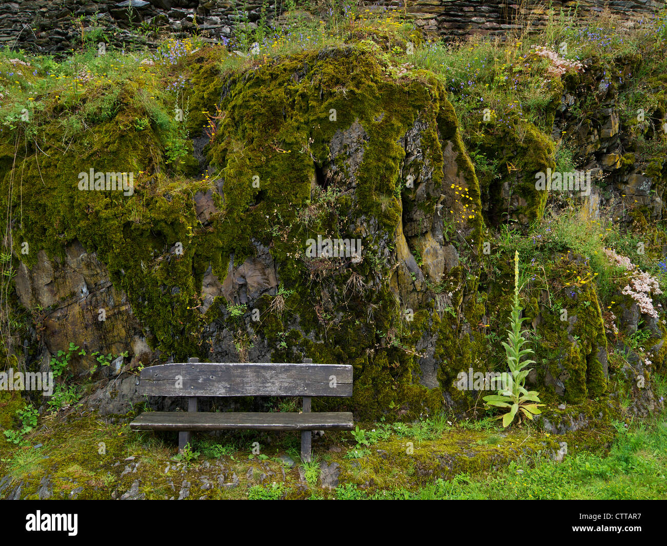 Rest in hike enjoying view hi-res stock photography and images - Alamy