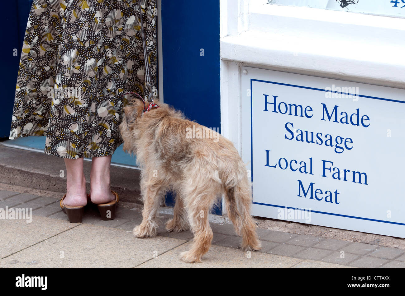 Dog Butcher High Resolution Stock Photography and Images - Alamy