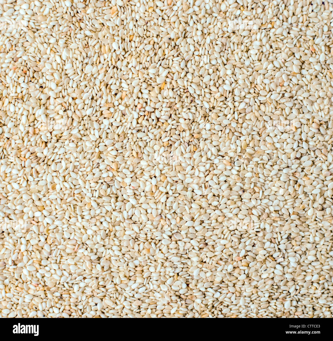 Sesame seeds texture Stock Photo - Alamy
