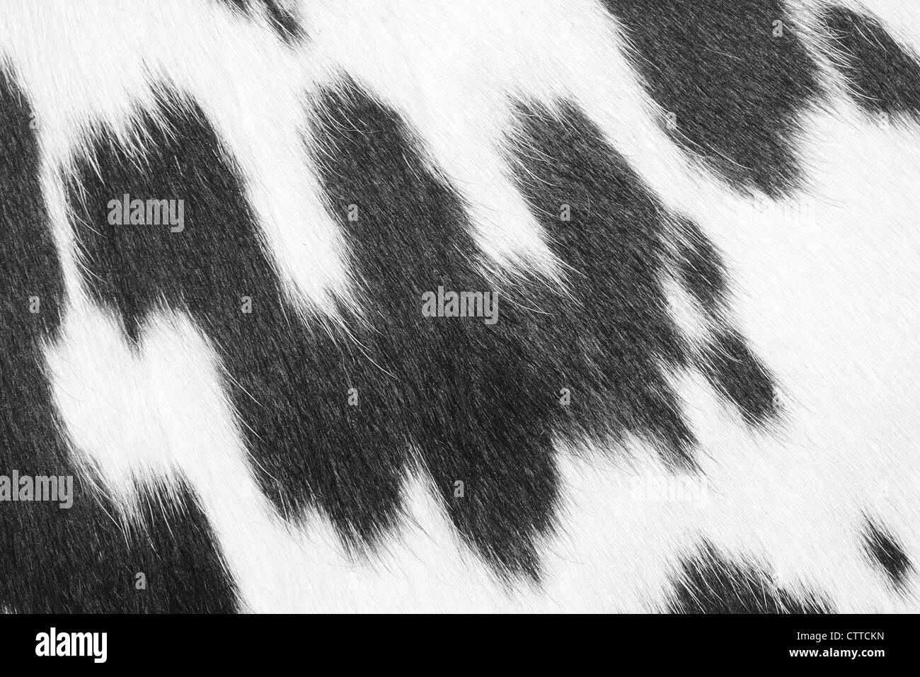 Hide patterns hi-res stock photography and images - Alamy