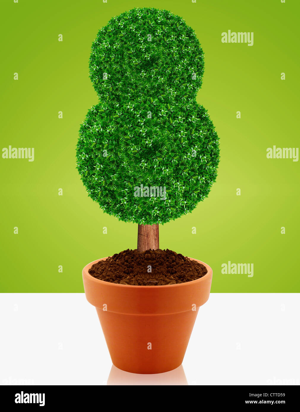 Small green tree in a pot with green background Stock Photo - Alamy