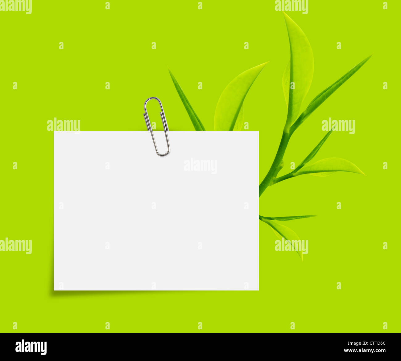 White Note paper with paper clip and green leaves on green background ...