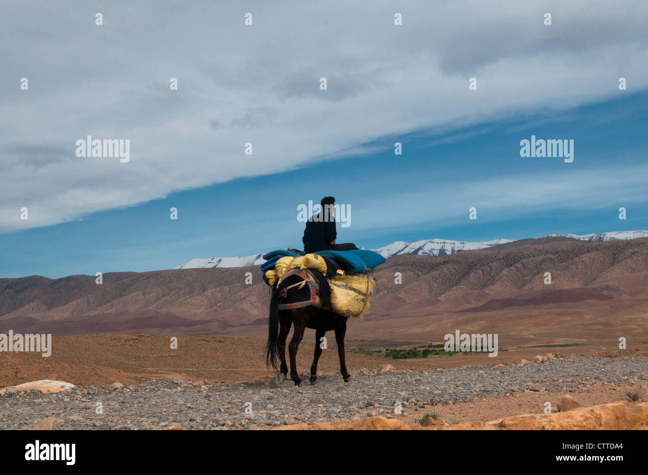 mule trekking in the Southern Atlas Mountains, Morocco Stock Photo - Alamy