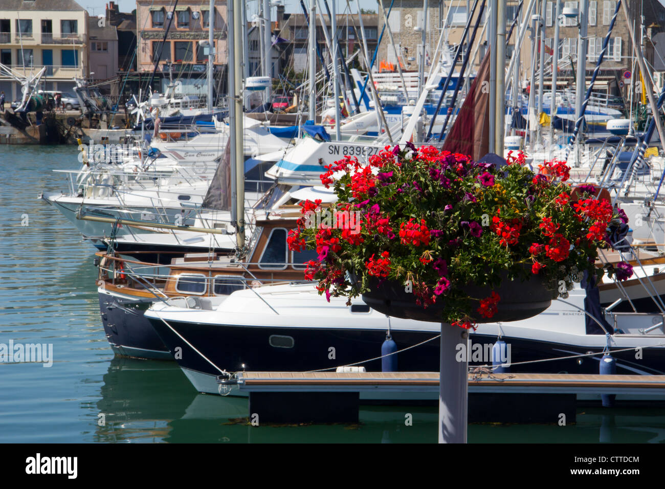 Flowers at a Marina Stock Photo - Alamy