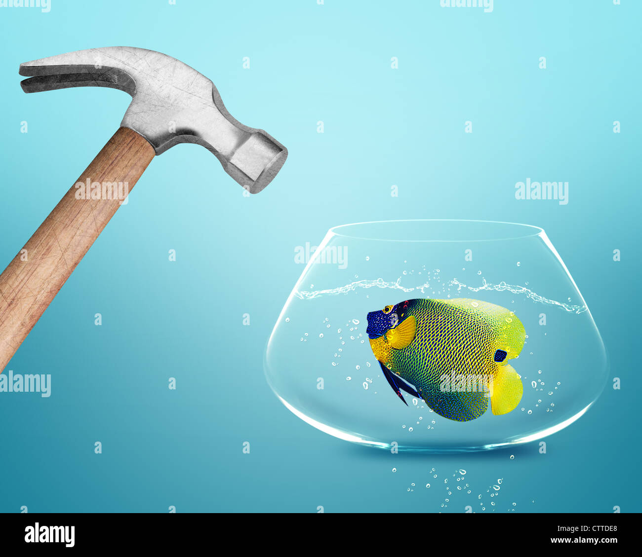 Hammer hitting fish bowl Stock Photo - Alamy