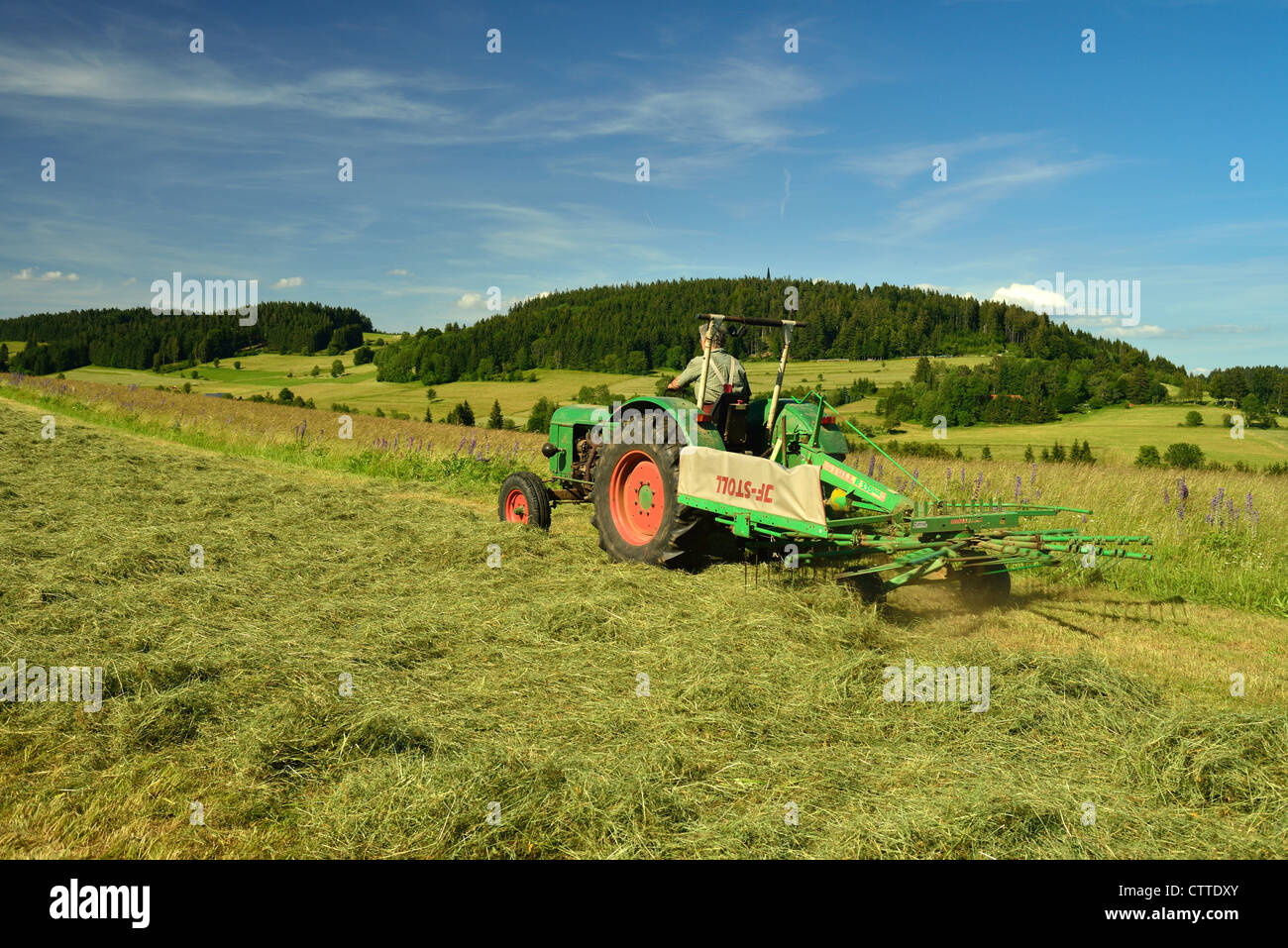 Black Forest , hay harvest Stock Photo - Alamy
