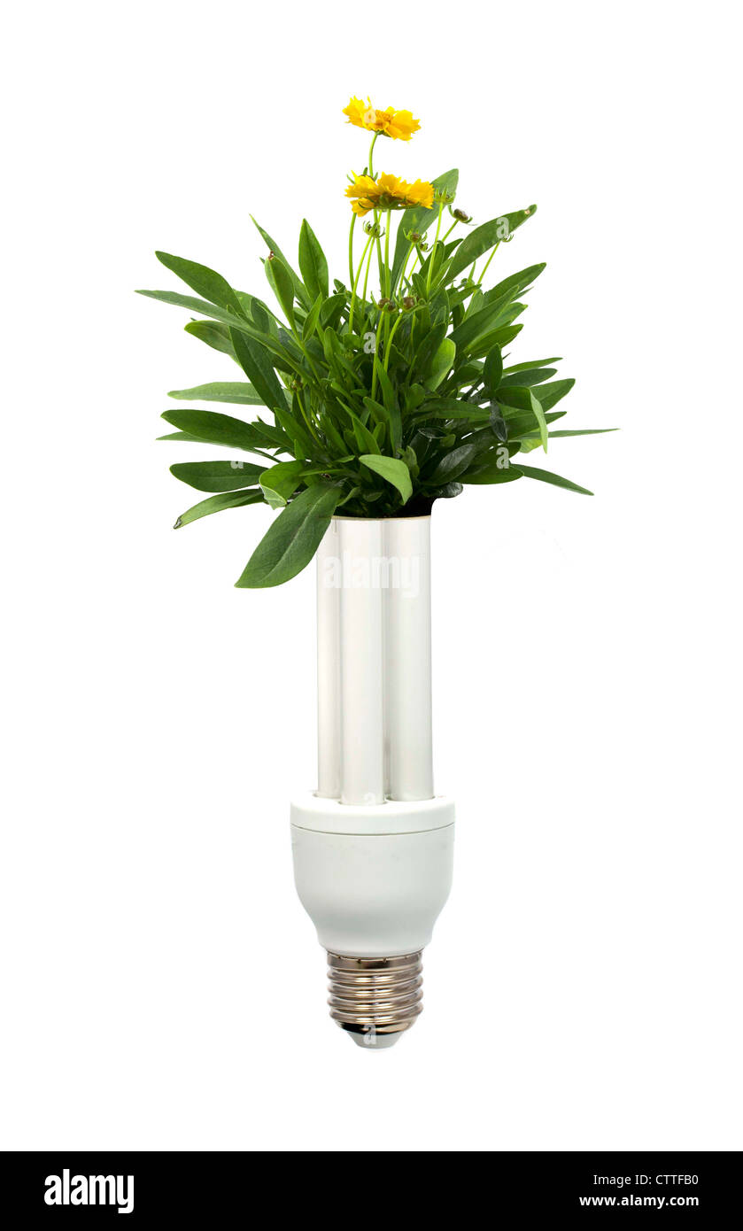 green energy with light bulb and nature Stock Photo - Alamy