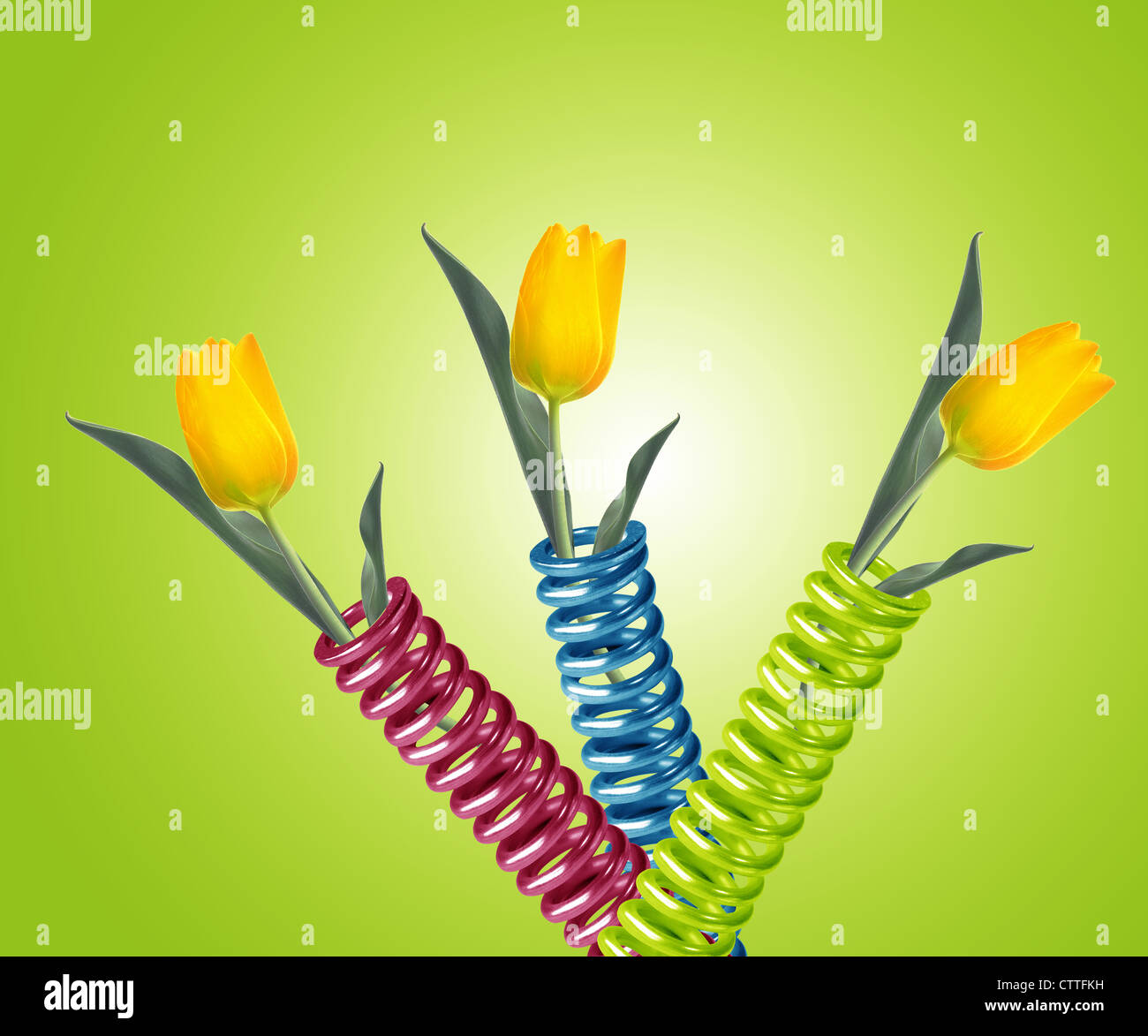 green metal spring with yellow tulip Stock Photo - Alamy