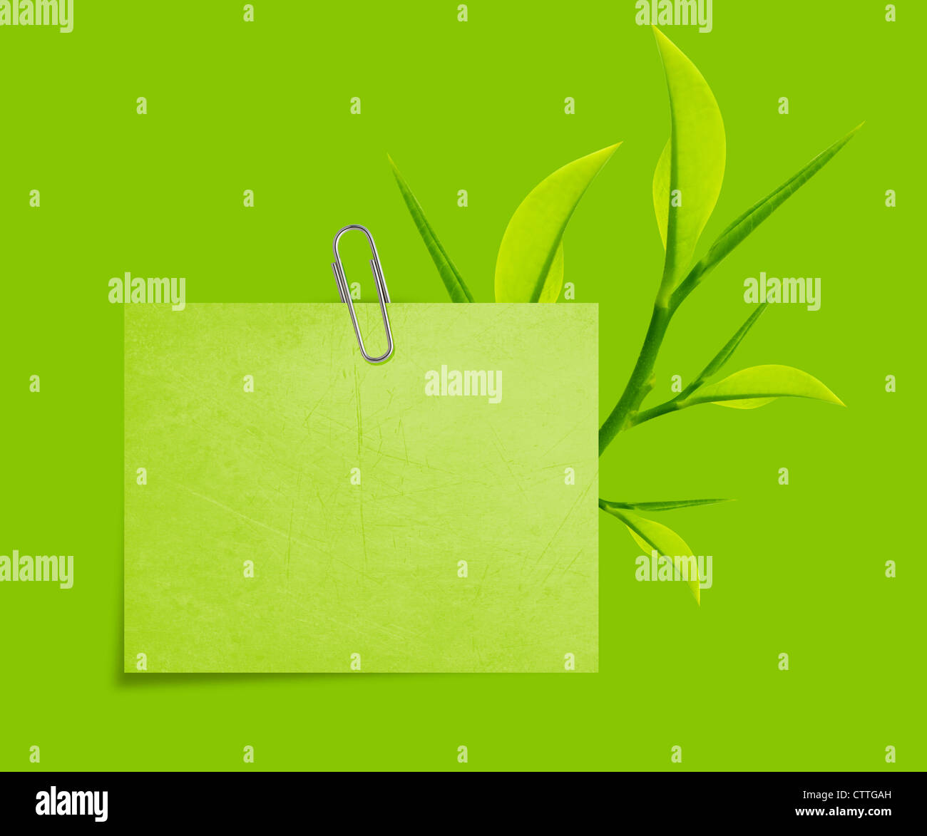 Green Note paper with paper clip and green leaves on green background ...