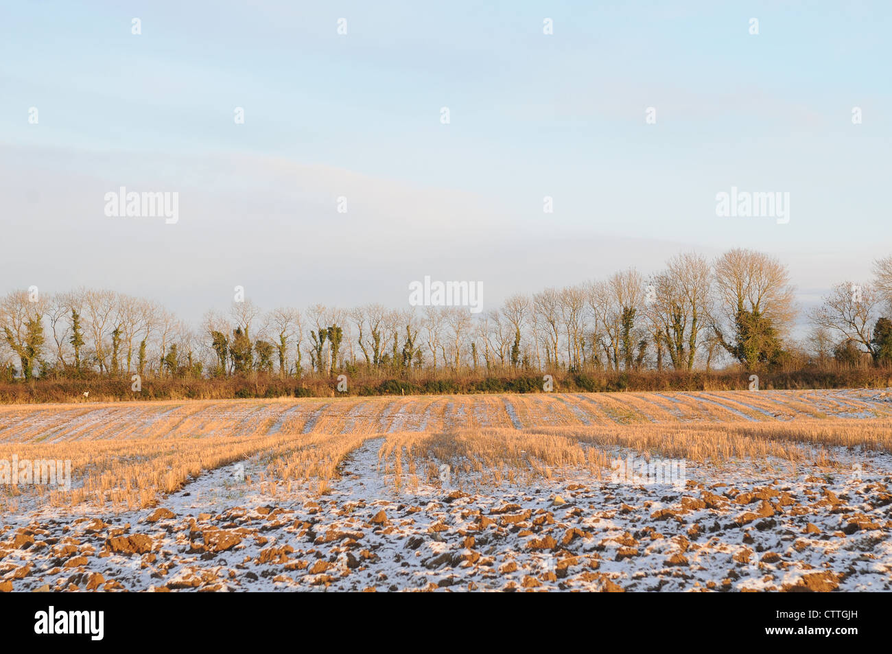 Golden winter sunset on a field of wheat stubble and snow Stock Photo ...