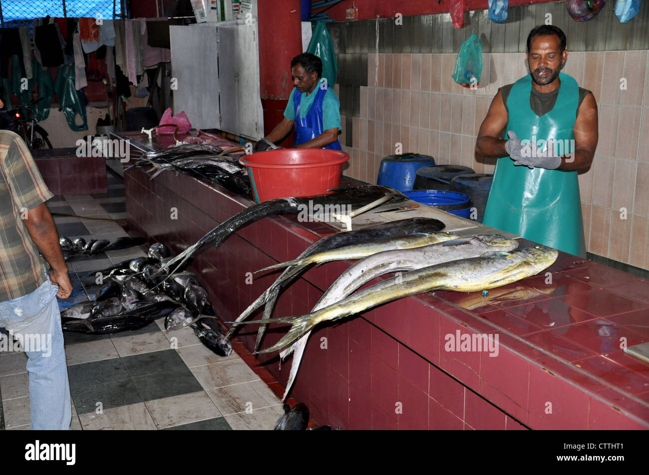 fish market in male in the maldives where the catch of the day is sold ...