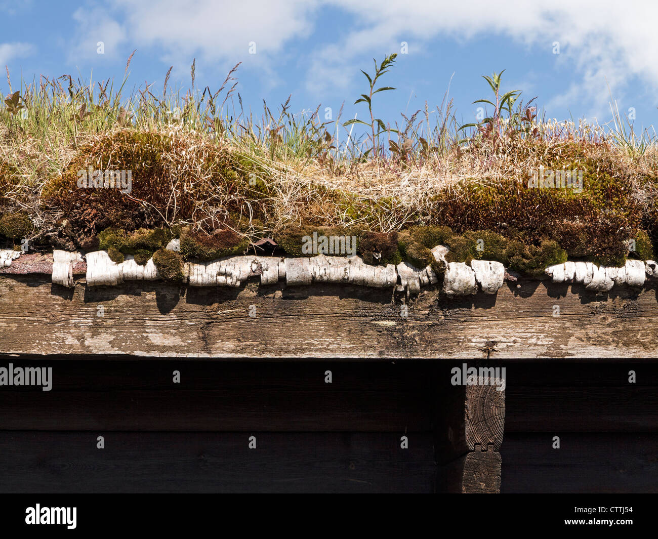 Turf roof hi-res stock photography and images - Alamy