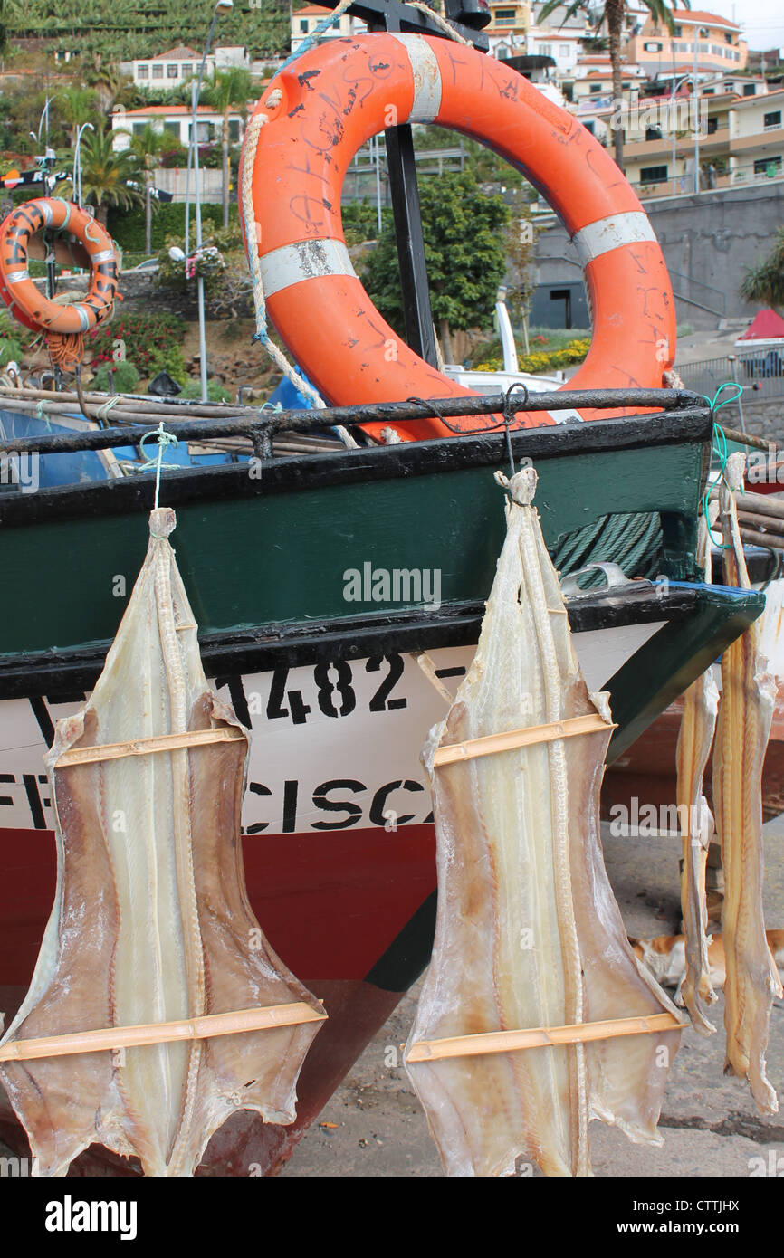 Hanging cod fish drying, Winston Churchill Bay, Madeira Stock Photo - Alamy
