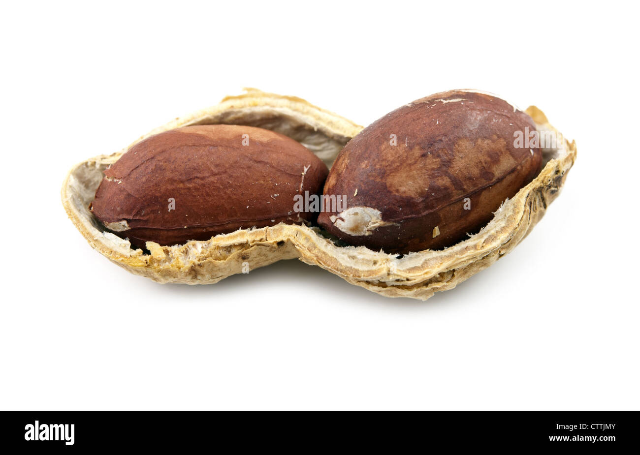 open peanut isolated on white background Stock Photo - Alamy