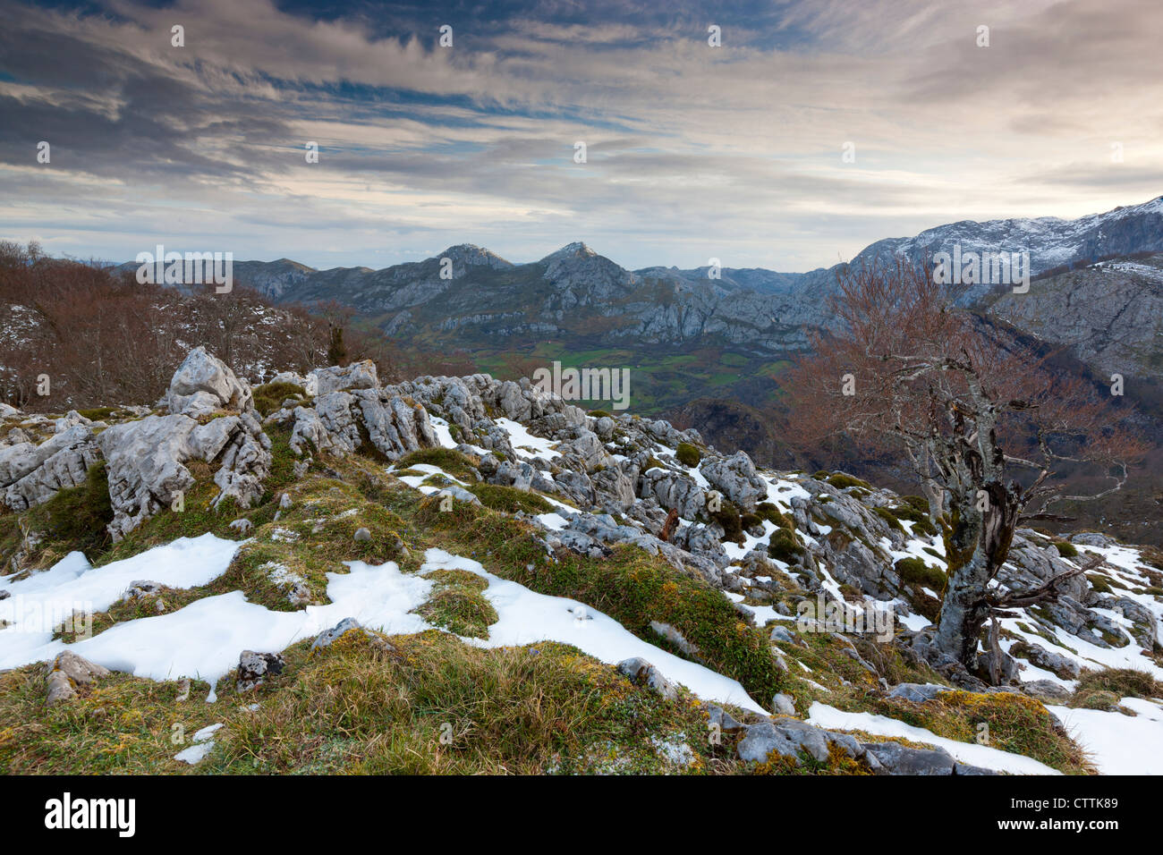 Picul hi-res stock photography and images - Alamy