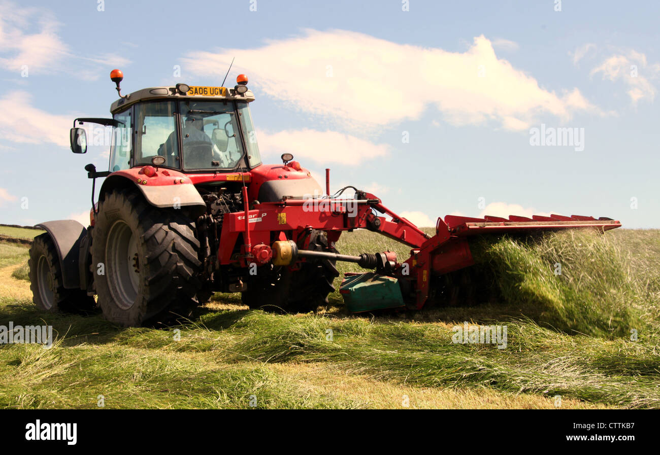 Farmers cutting harvesting hay hi-res stock photography and images - Alamy
