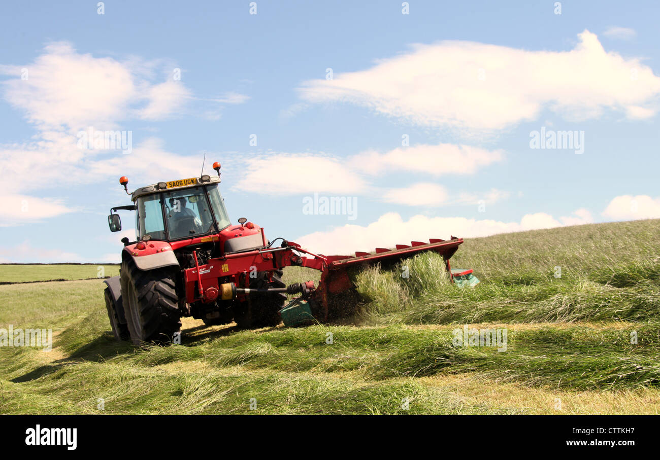 Hay making implement hi-res stock photography and images - Alamy