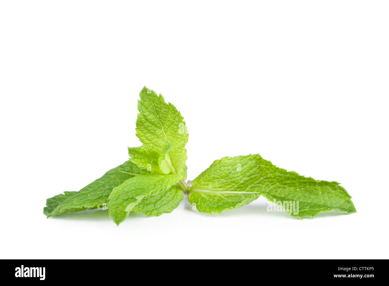 Greece fresh mint herb nature plant hi-res stock photography and images ...