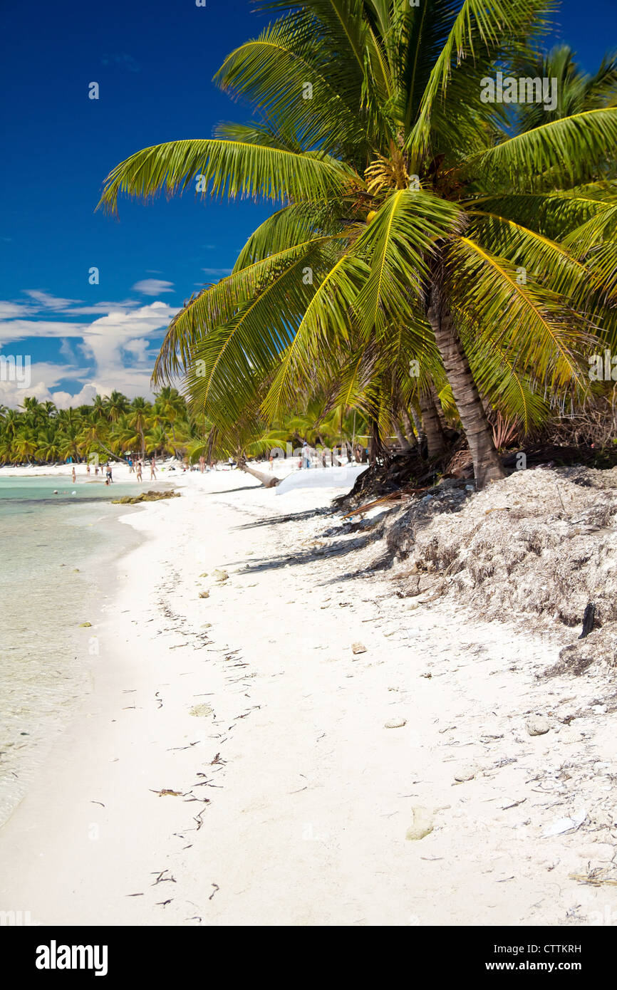 A beautiful image of caribbean beach - Nature Stock Photo - Alamy