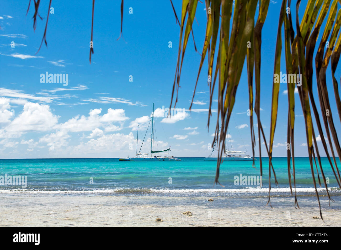 A beautiful image of Caribbean sea - Nature Stock Photo - Alamy