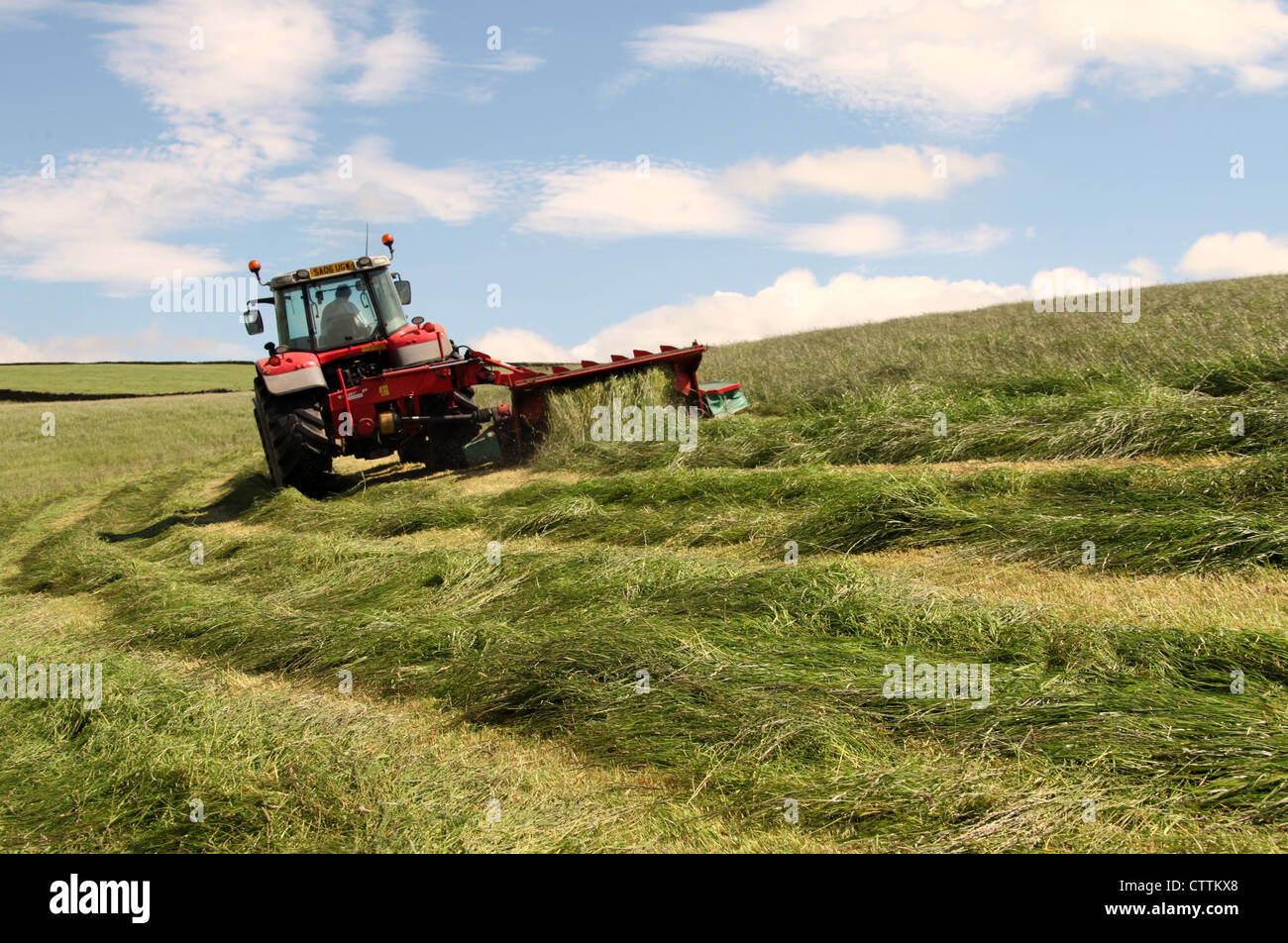 Haymaking uk hi-res stock photography and images - Alamy