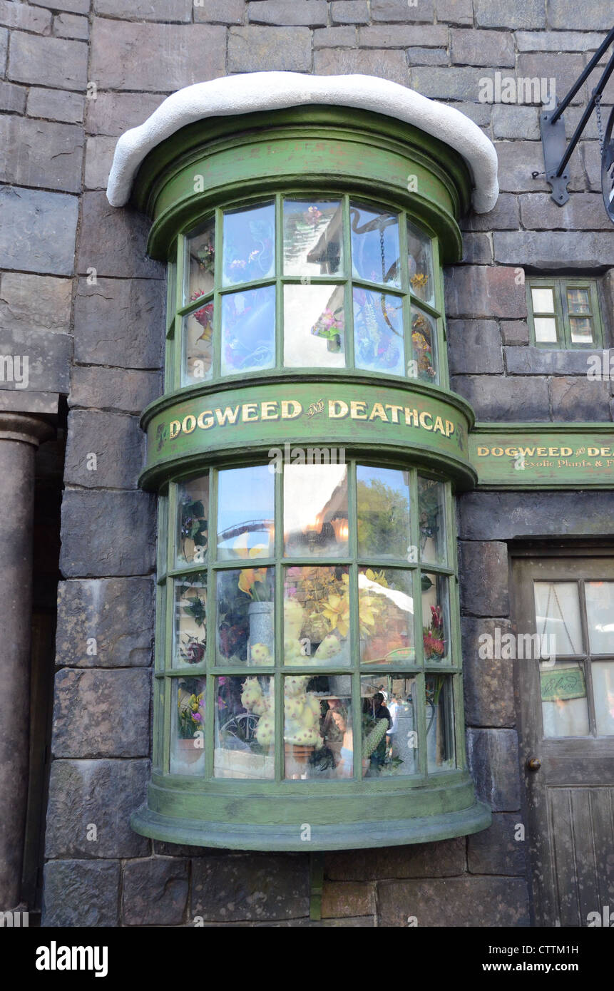 Inside The Wizarding World Of Harry Potter at Universal Islands of ...