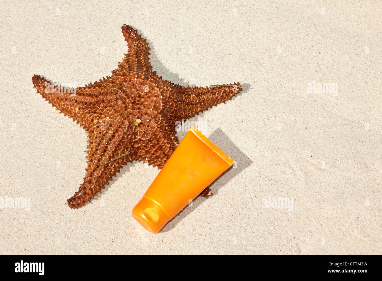 Tan star fish hi-res stock photography and images - Alamy