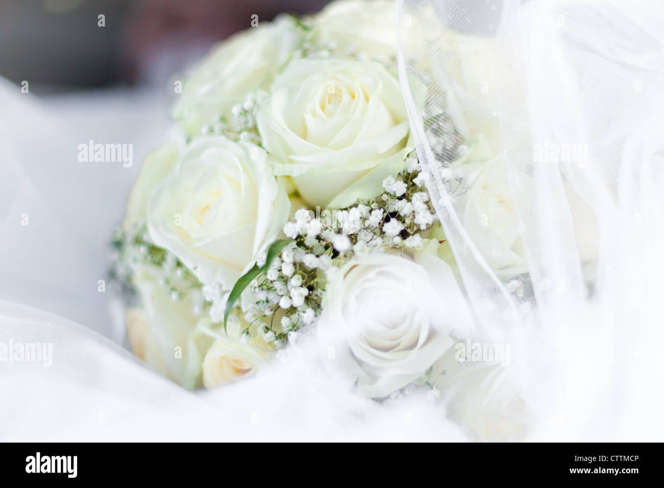 beautiful bouquet of the bride, light beige roses Stock Photo - Alamy