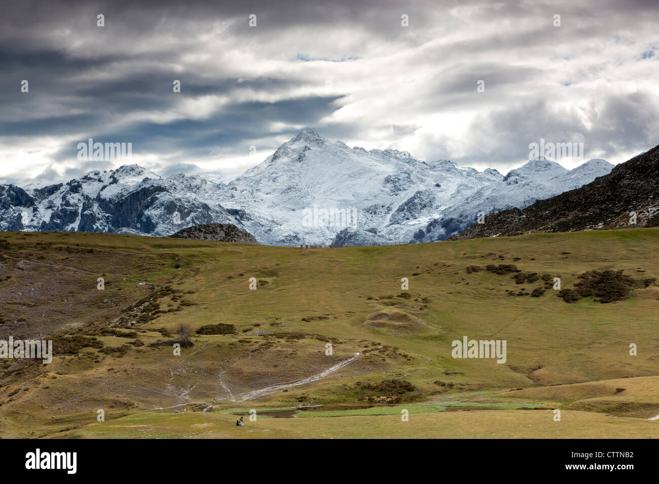 Picota hi-res stock photography and images - Alamy