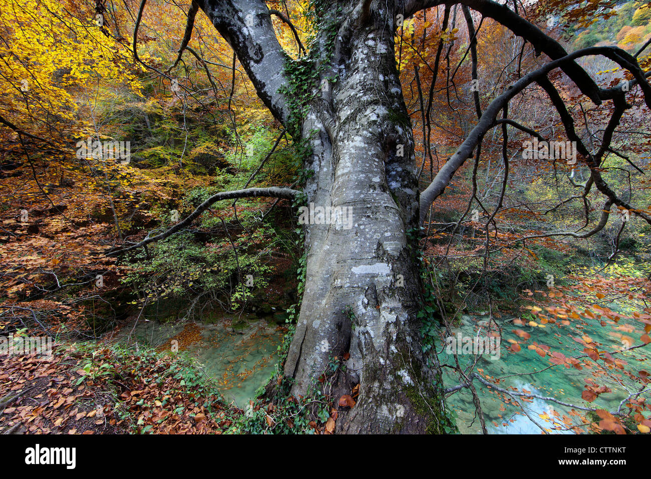 Northern silk road hi-res stock photography and images - Alamy