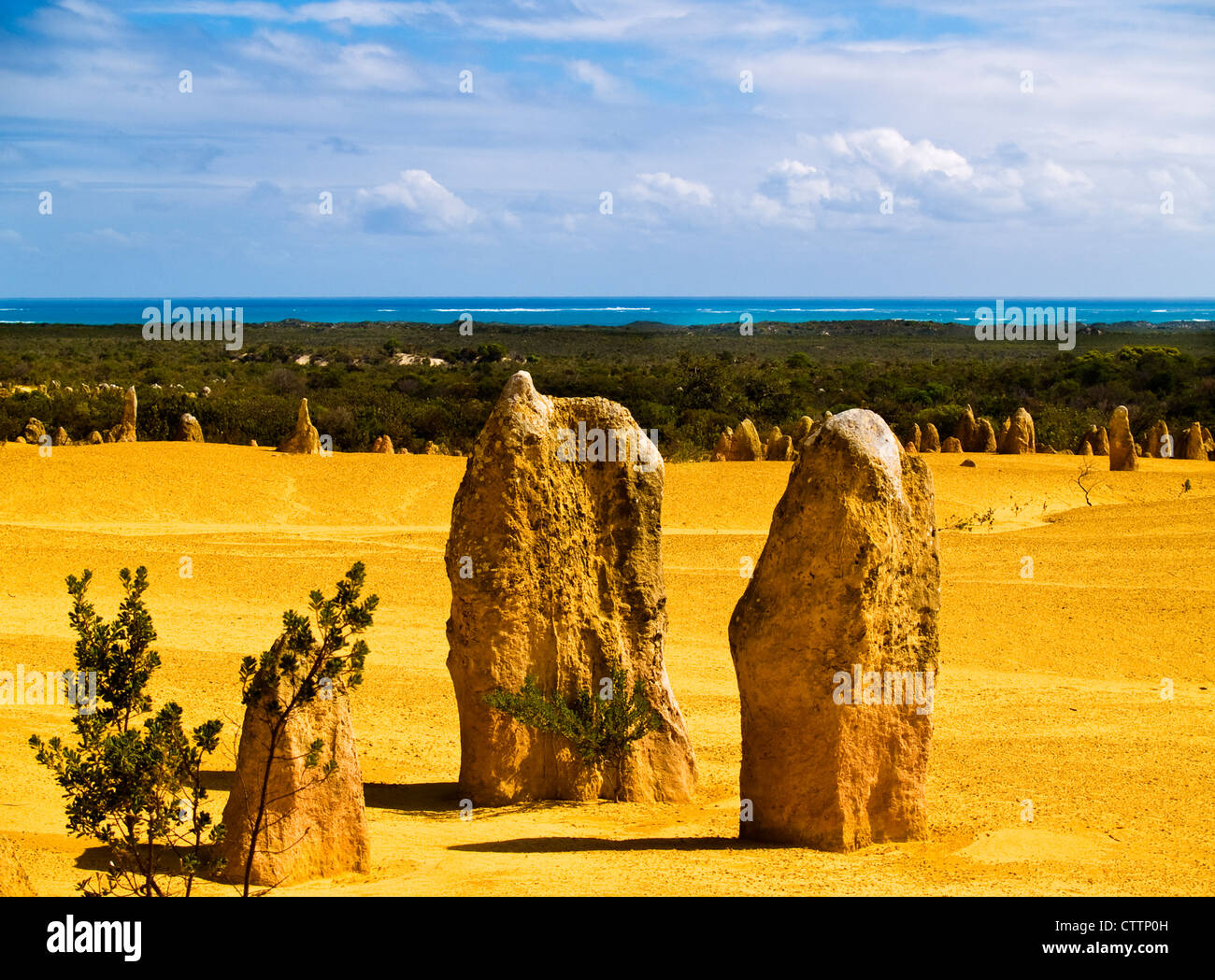 Pinnacles, Western Australia Stock Photo - Alamy