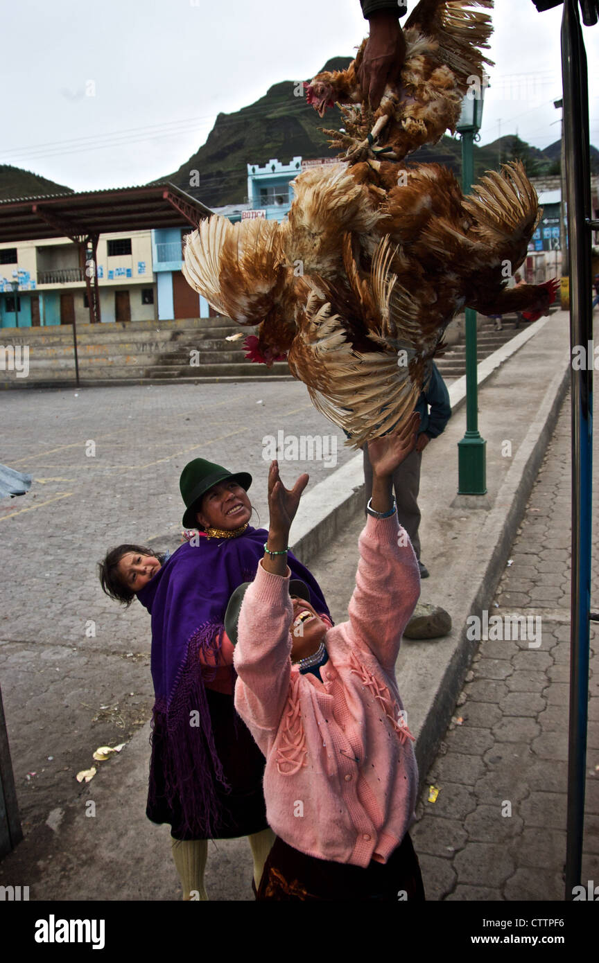 Catching chicken hi-res stock photography and images - Alamy