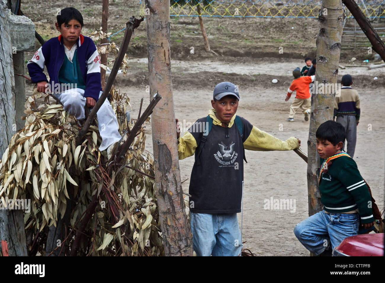 Boys in Andes, Ecuador Stock Photo - Alamy