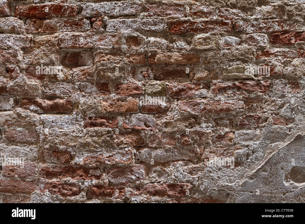 Texture of Venetian wall. Venice. Italy.Venetto area Stock Photo - Alamy
