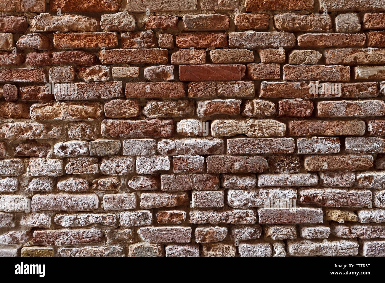 Texture of Venetian wall. Venice. Italy.Venetto area Stock Photo - Alamy