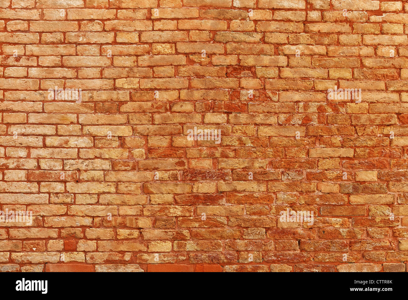 Texture of Venetian wall. Venice. Italy.Venetto area Stock Photo - Alamy