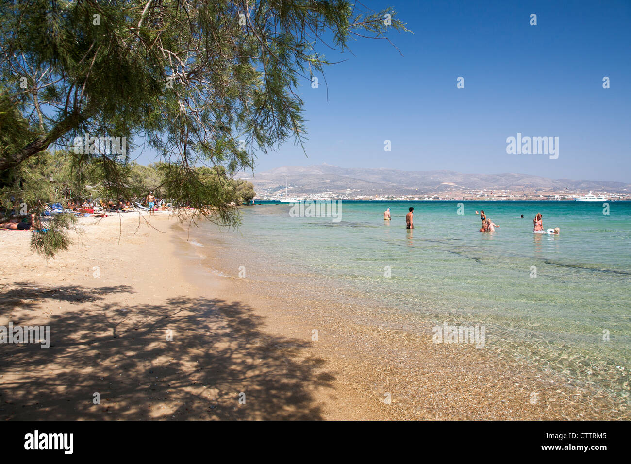The beach Psaraliki with crystal clear water and tamarisk trees next to ...