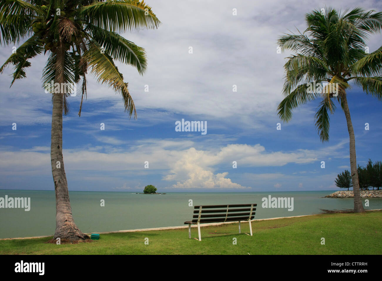 Palm trees and bench by the ocean Stock Photo - Alamy