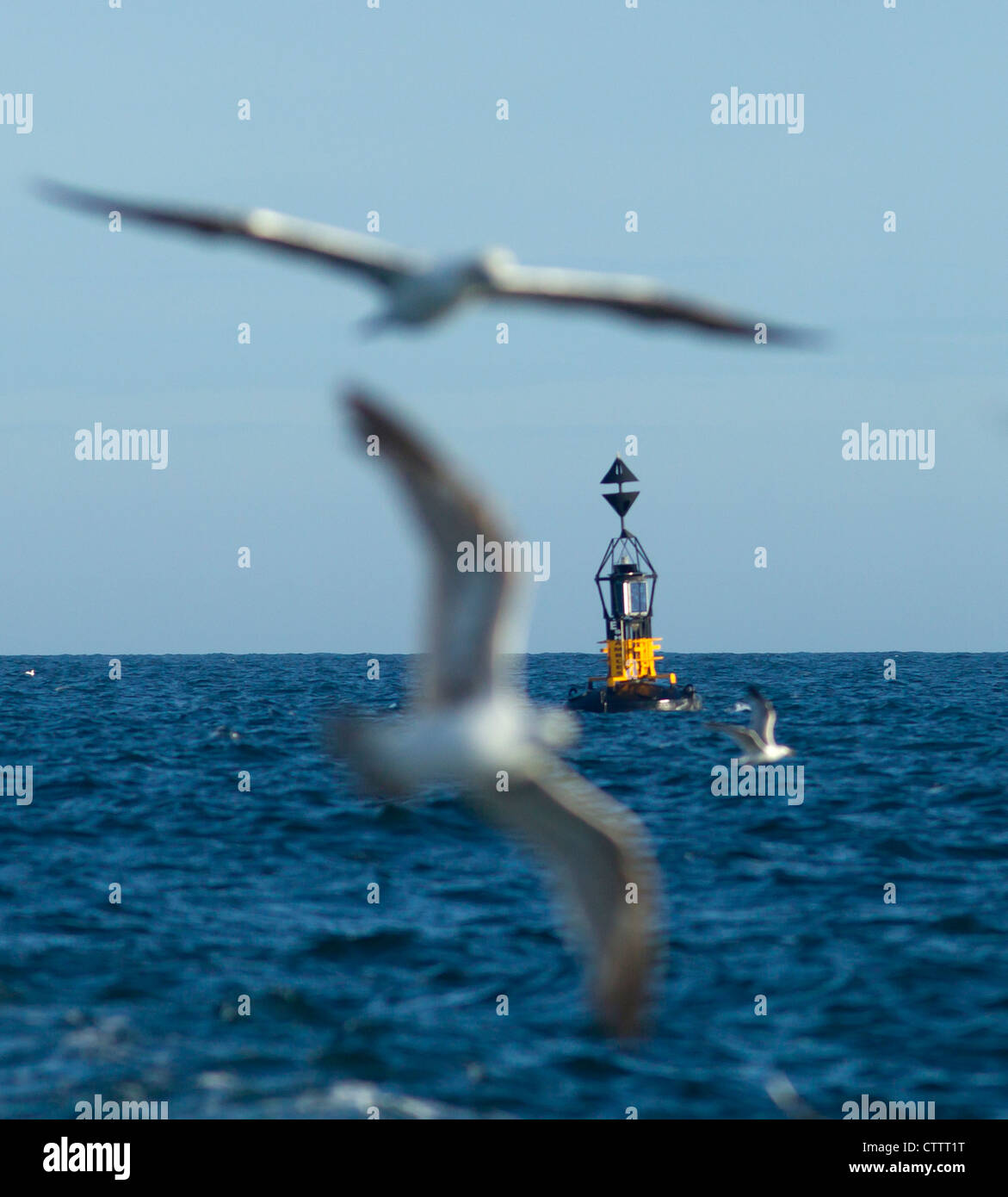 Cardinal Buoy on the East Shambles in Weymouth Bay Dorset Stock Photo ...